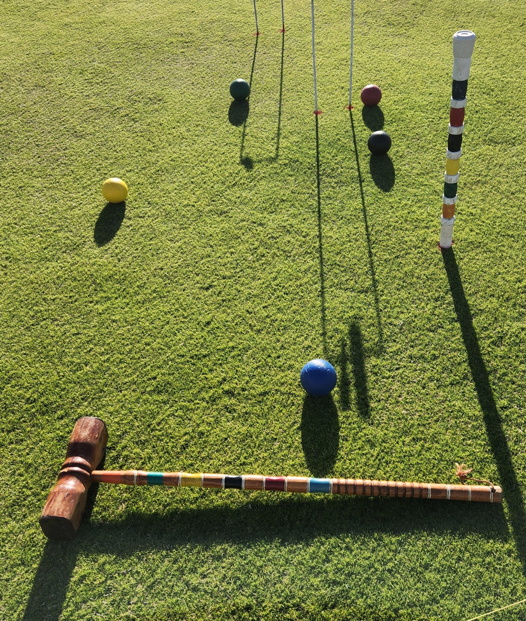 Explore Clubs & Groups at Venture Out Mesa | 55+ Community Life